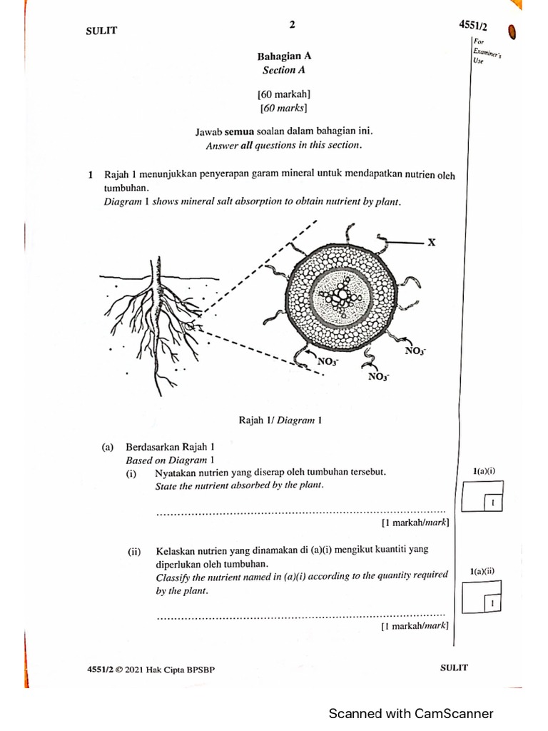 Kertas Trial Biologi Sbp K2 2021 Pdf