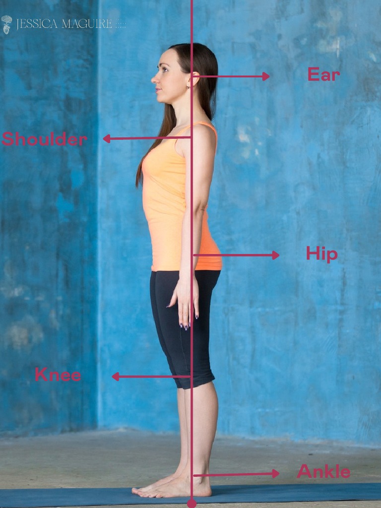 Plumb Line Assessment | PDF