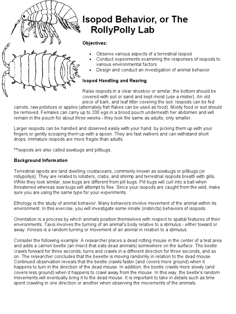 Isopod Behavior | PDF | Ethology | Experiment