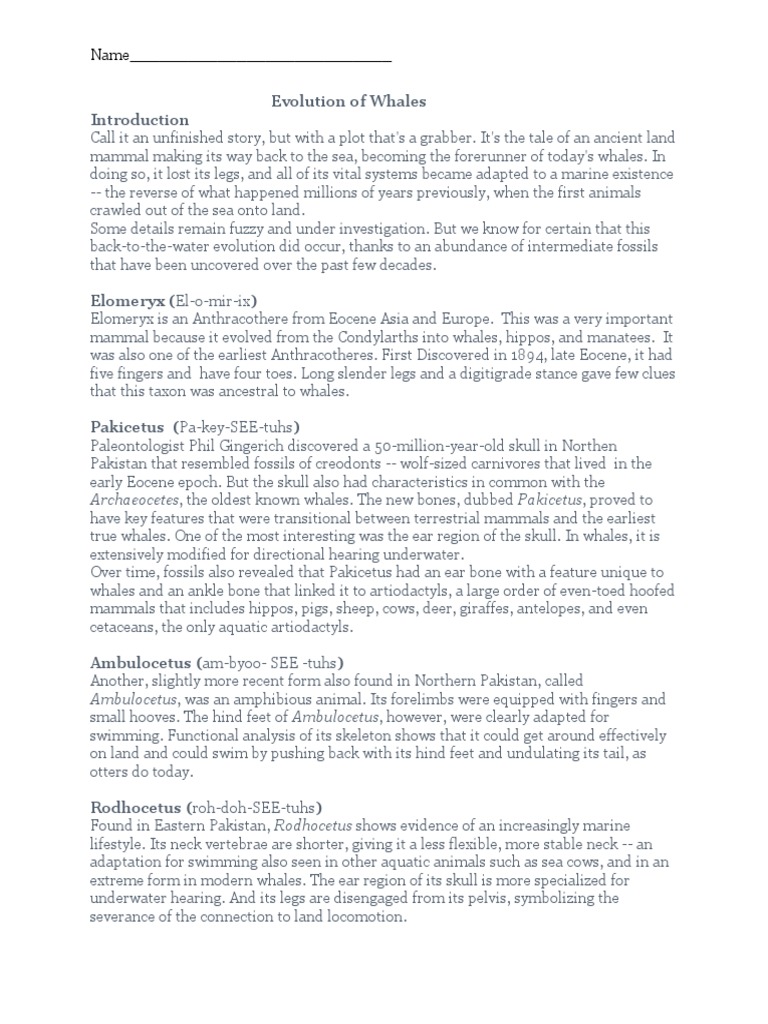 Evolution of Whales Case Study | PDF | Whales | Ungulates