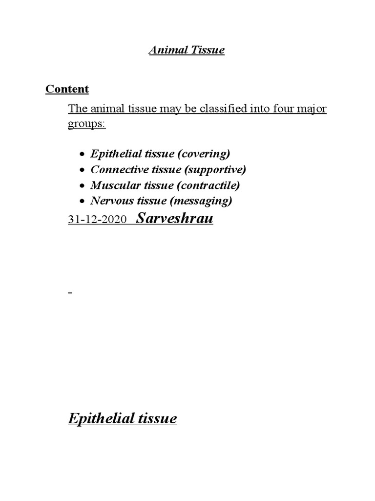 Animal Tissue | PDF | Epithelium | Tissue (Biology)