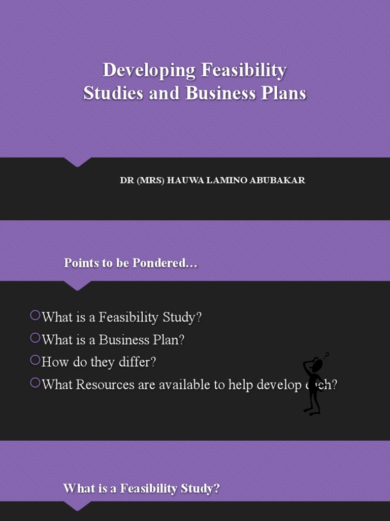 Feasibility Studies & Business Plans Guide | PDF | Feasibility Study ...