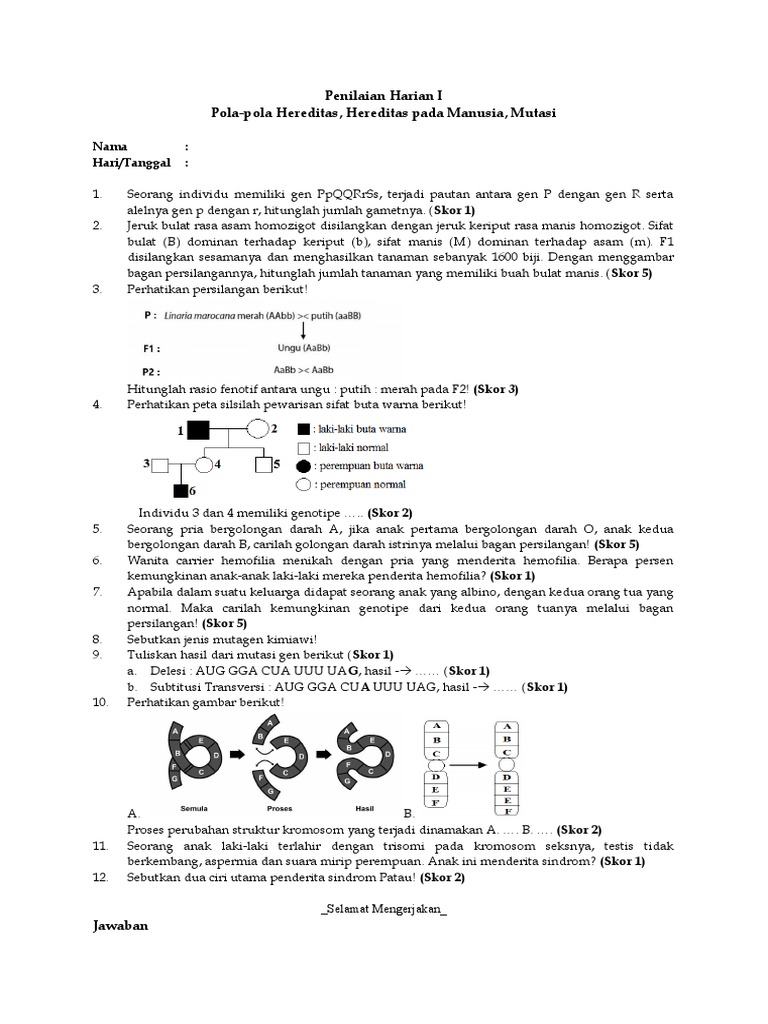 Penilaian Harian I - Hukum Mendel - Pola Hereditas | PDF | Kesehatan ...