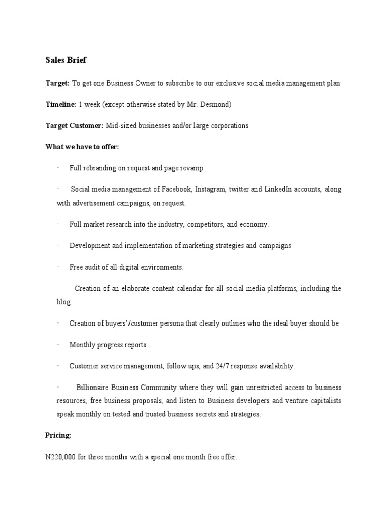 Sales Brief | PDF