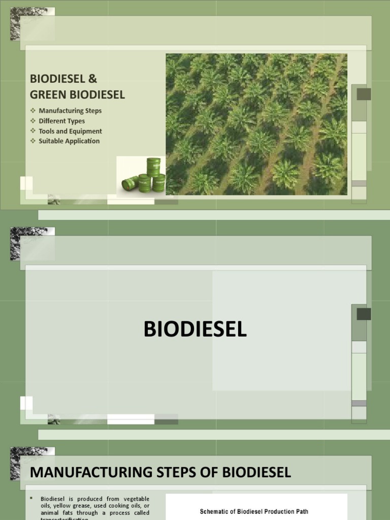 Green Biodiesel Production Overview | PDF | Biodiesel | Biofuel