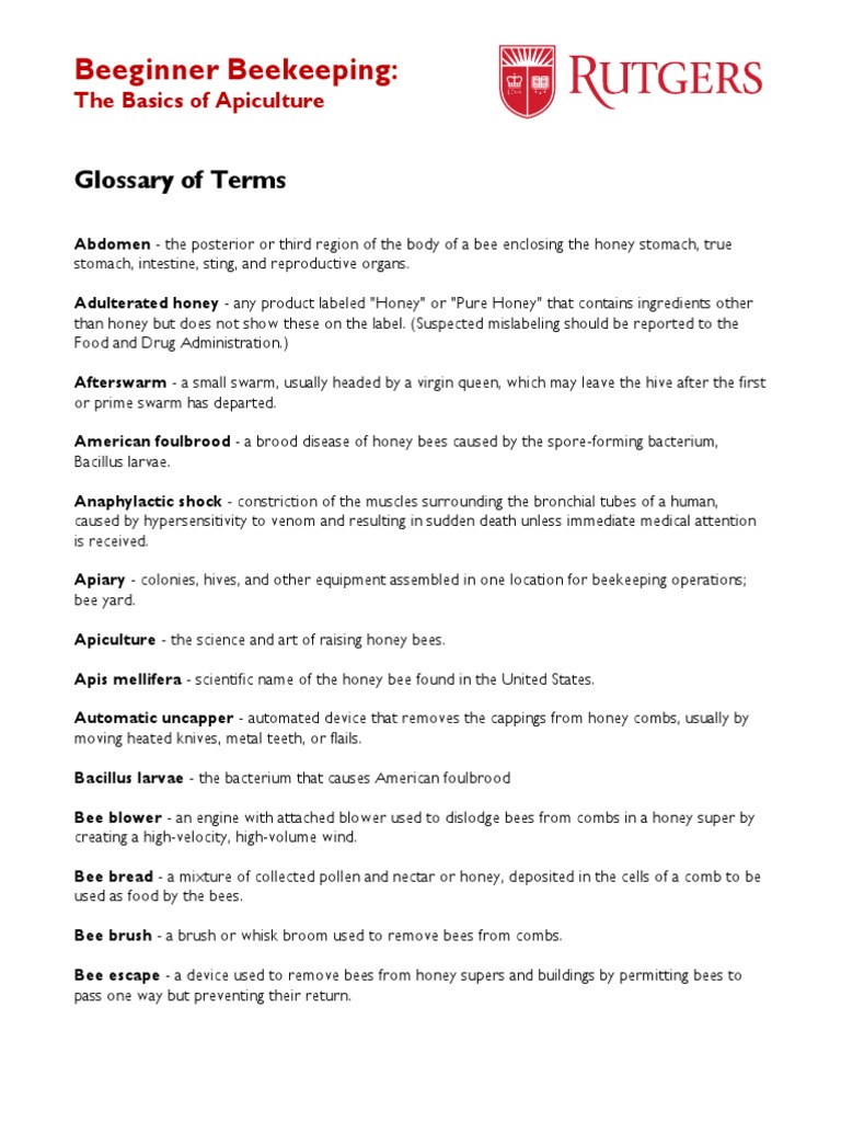 Beeginner Beekeeping:: Glossary of Terms | PDF | Honey Bee | Beehive