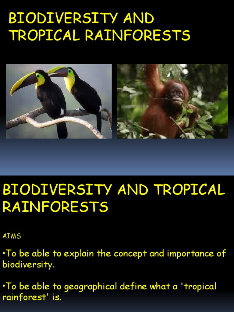 Biodiversity and Tropical Rainforests | PDF | Biodiversity | Tropics