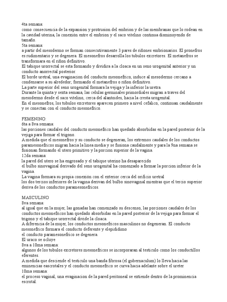 Embrio (Symbrio) | PDF | Vagina | Testículo