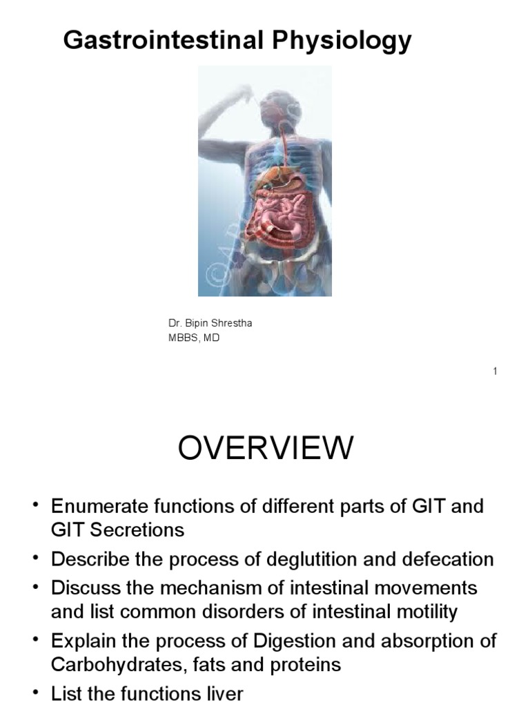 Gastrointestinal Physiology: Dr. Bipin Shrestha MBBS, MD 1 | PDF ...
