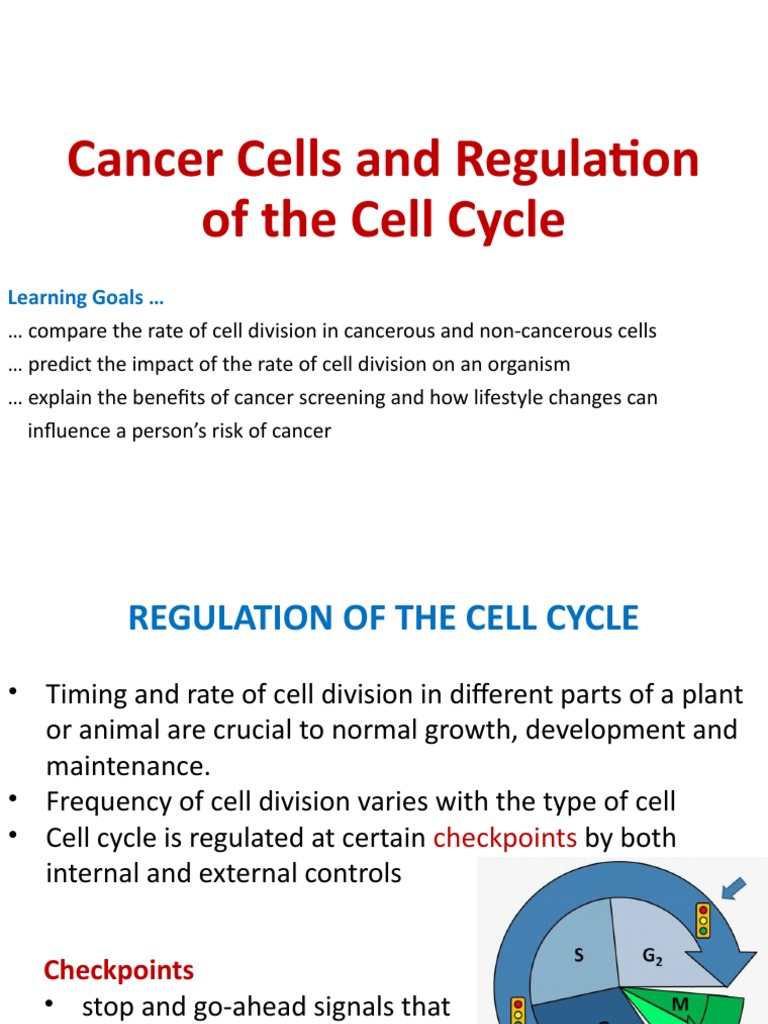 6 Cancer and Regulations of The Cell Cycle Revised | Descargar gratis ...