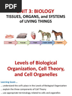 Levels of Biological Organization | PDF | Organ (Anatomy) | Human Body