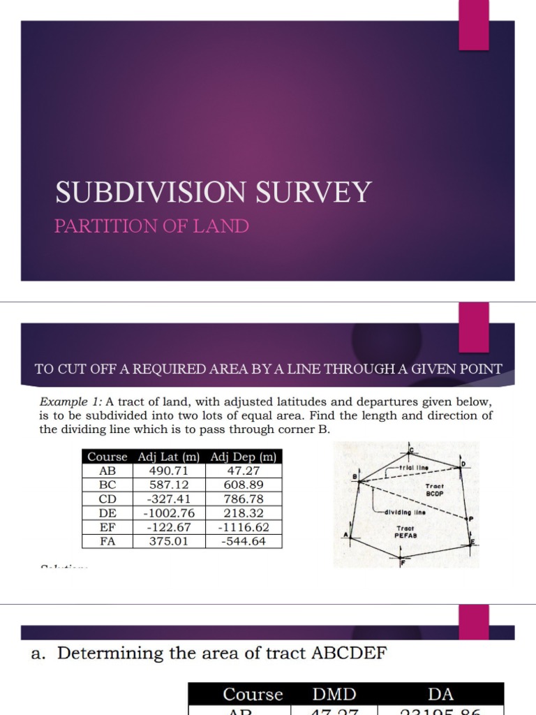 Land Partition Survey Guide | PDF