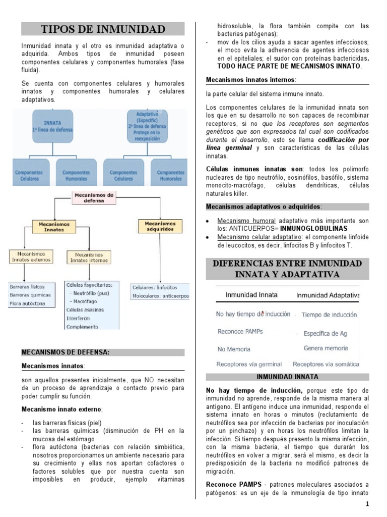 Tipos de Inmunidad | PDF | Sistema inmune | Sistema inmune innato