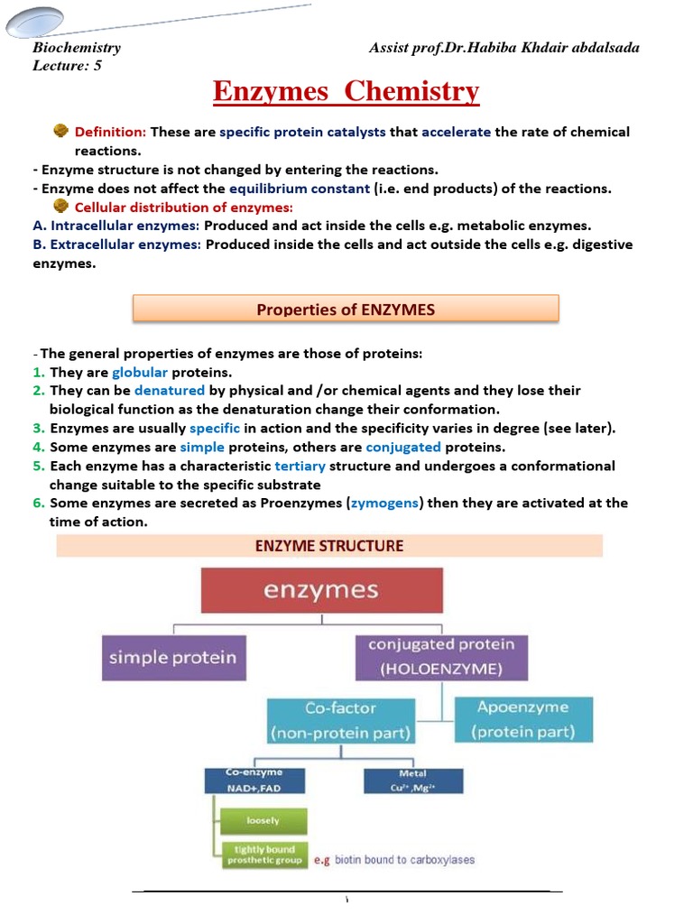 Lecture 5 Enzymes Chemistry | PDF | Enzyme | Active Site