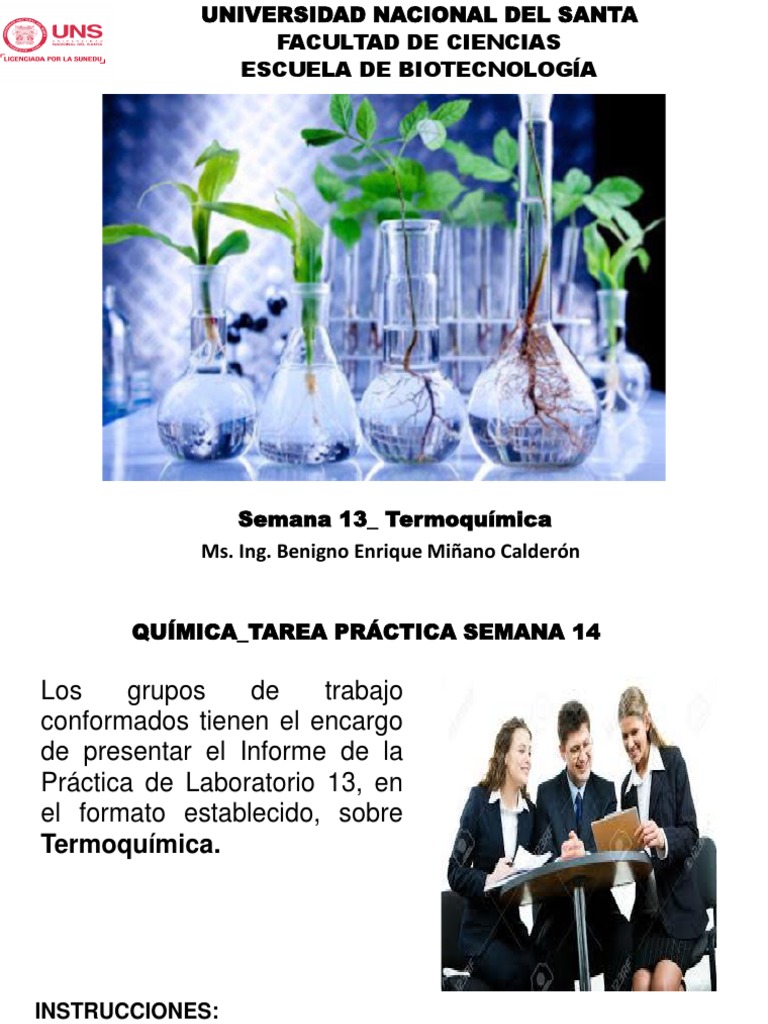 EPB - Química - Tarea Práctica - 13 - UNS - 2021 - 2 | PDF