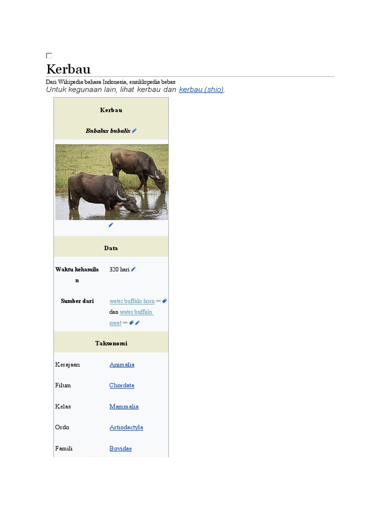 Kerbau | PDF | Sains & Matematika | Teknologi & Rekayasa