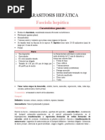 Características Macroscópicas y Microscópicas de Cándida | PDF ...