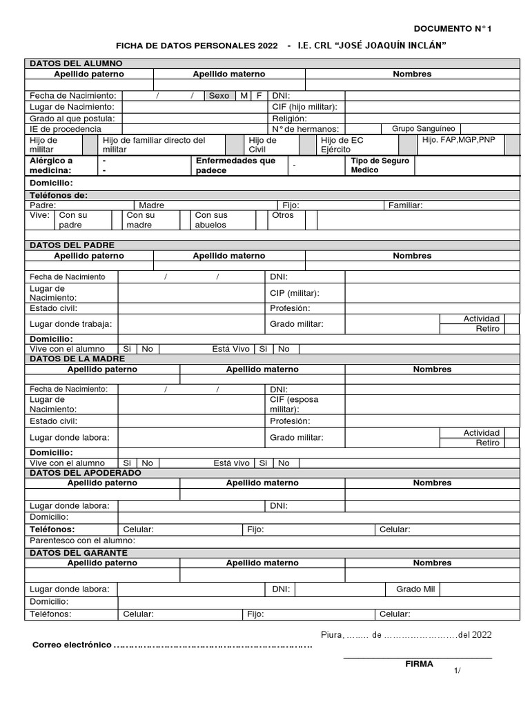 Formatos Matrícula | PDF