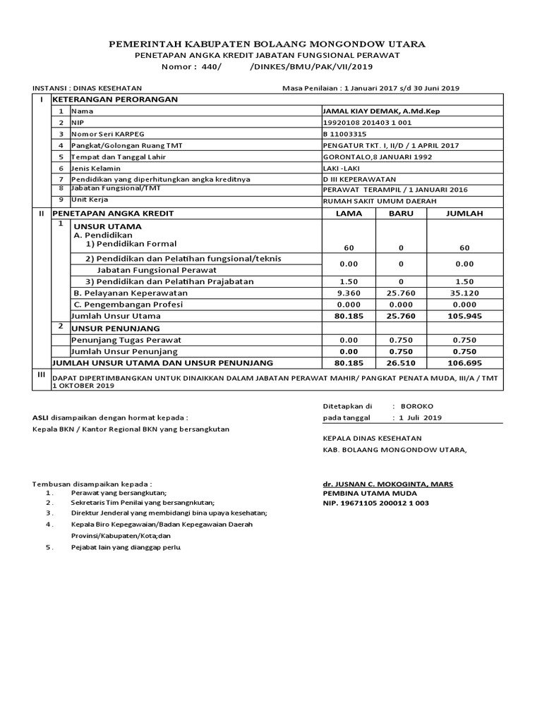 Format Baru Pak PERAWAT | PDF