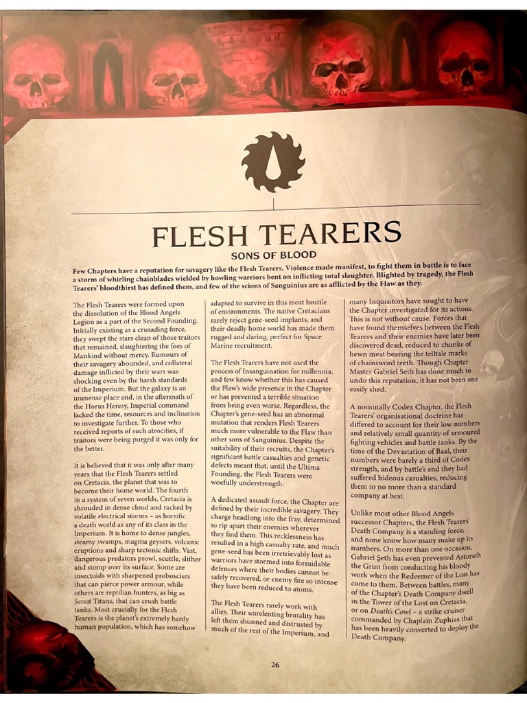 Codex Blood Angels 9th 27 | PDF
