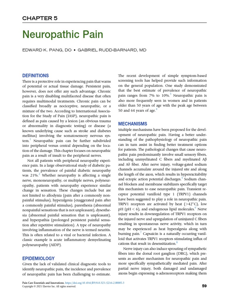 Neuropathic Pain | PDF | Peripheral Neuropathy | Pain