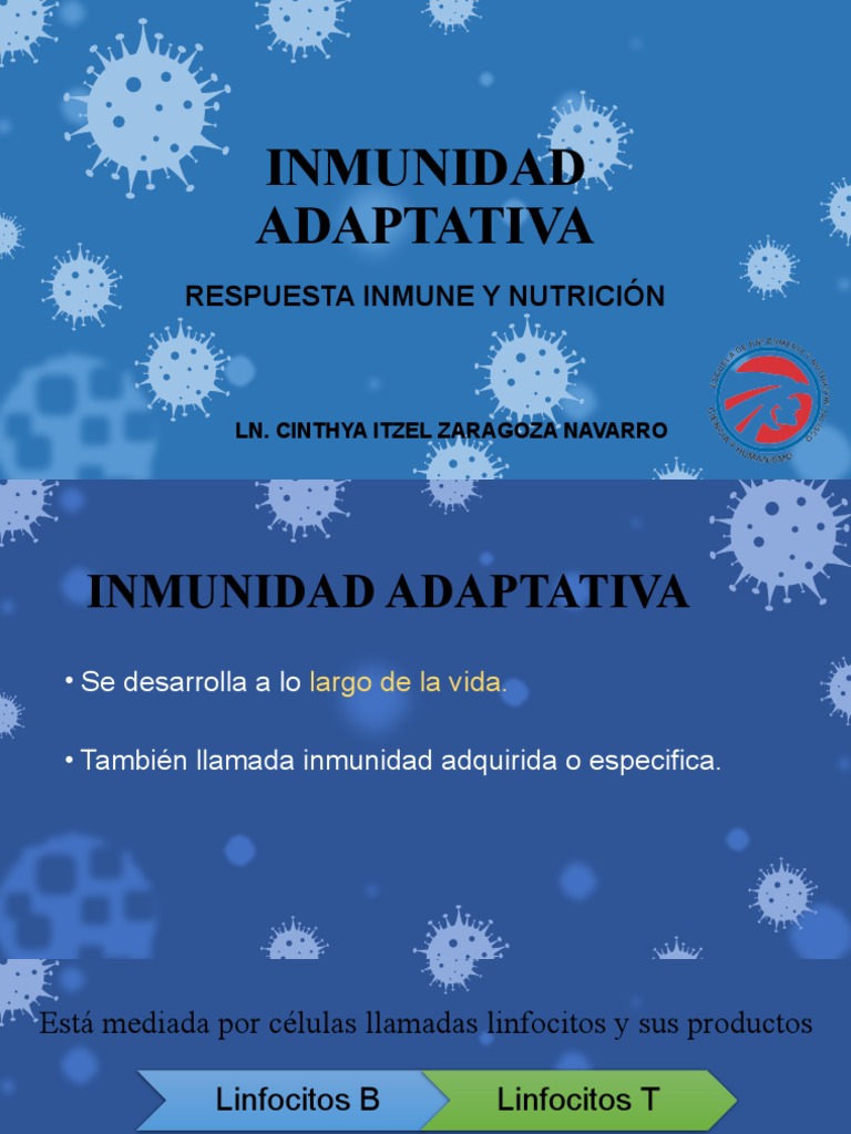 Inmunidad Adaptativa | PDF | Linfocitos | Sistema inmune