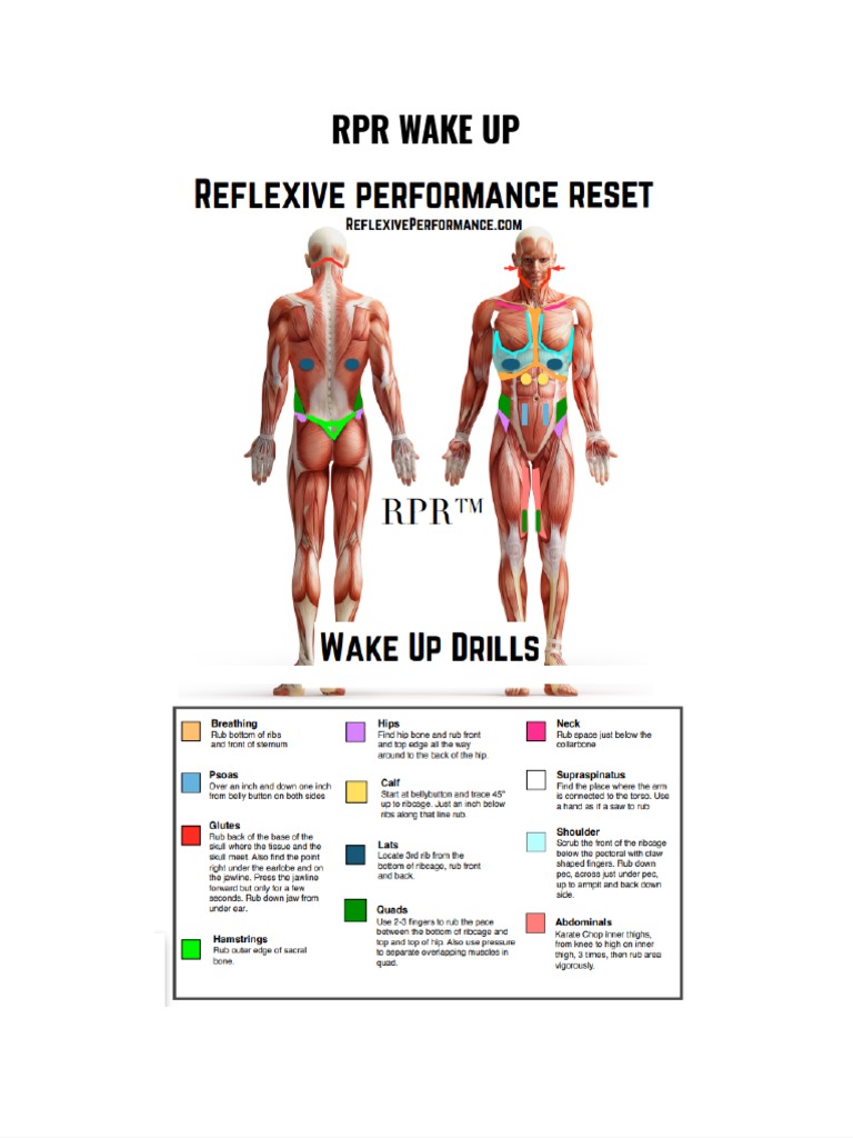 RPR Wake Up | PDF | Anatomical Terms Of Motion | Knee