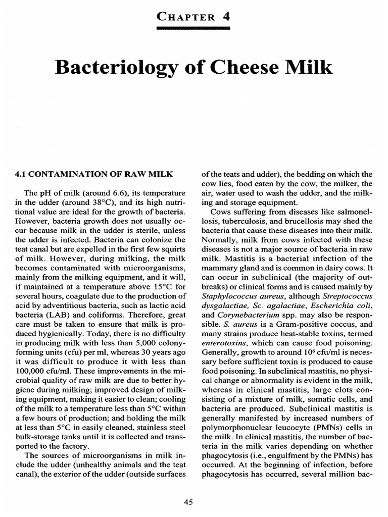 4 Bacteriology of Cheese Milk | PDF | Milk | Bacteria