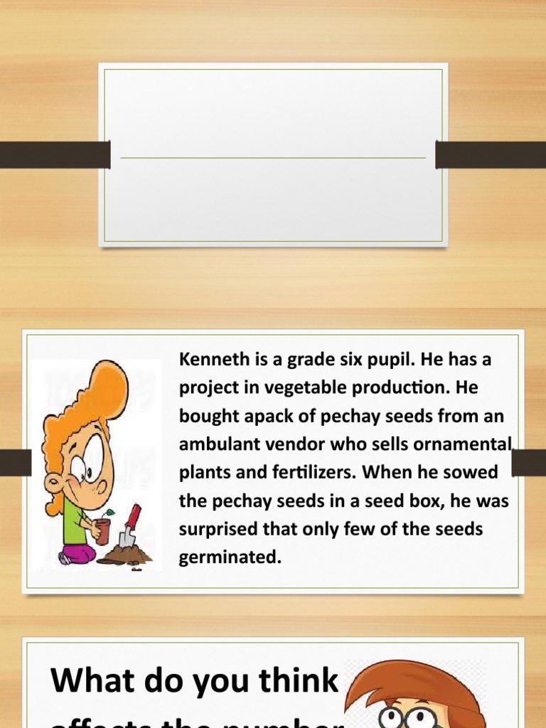 Pechay Seed Germination Tips | PDF | Seed | Germination