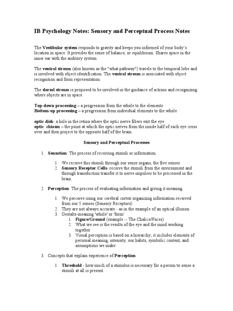 Sensory and Perceptual Process Notes | PDF | Visual Perception | Perception