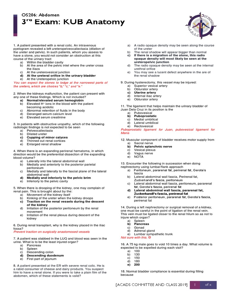 3 Exam: KUB Anatomy: OS206: Abdomen | PDF | Urinary Bladder | Kidney