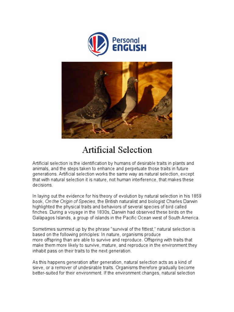 Artificial Selection | Download Free PDF | Natural Selection ...