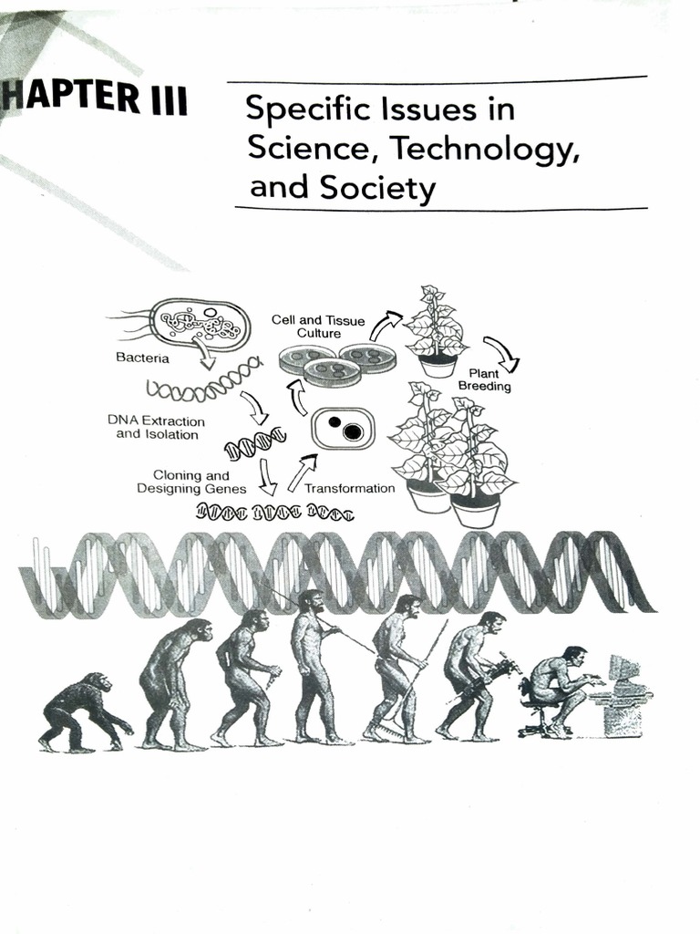 Information Age | PDF | Desktop Computer | Personal Computers