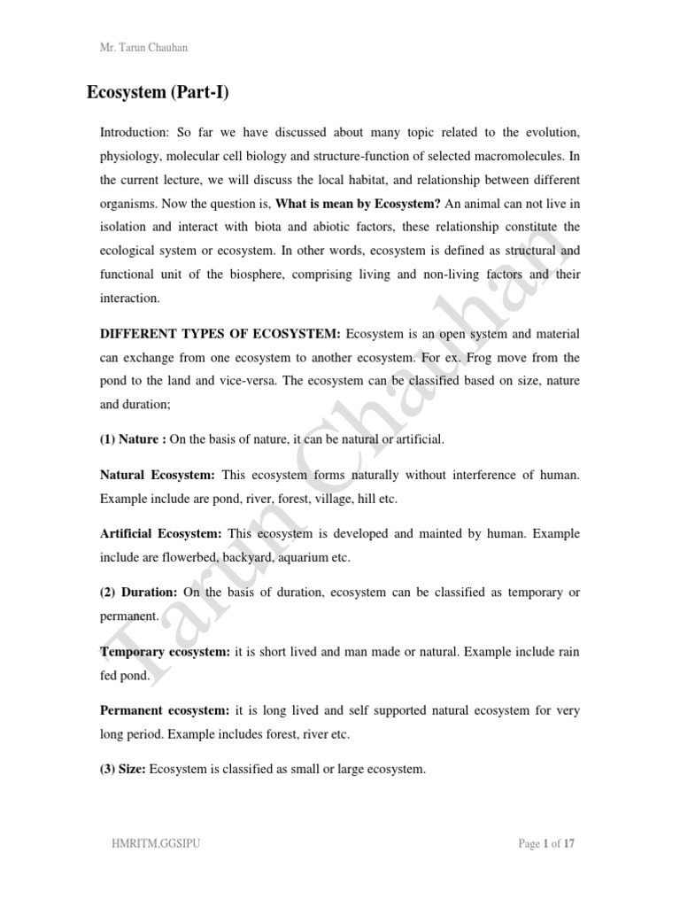Ecosystem Basics for Biology Students | PDF | Food Web | Pollution