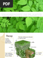 IGCSE Biology Topic 8 Transport in Plants Presentation | PDF | Leaf ...