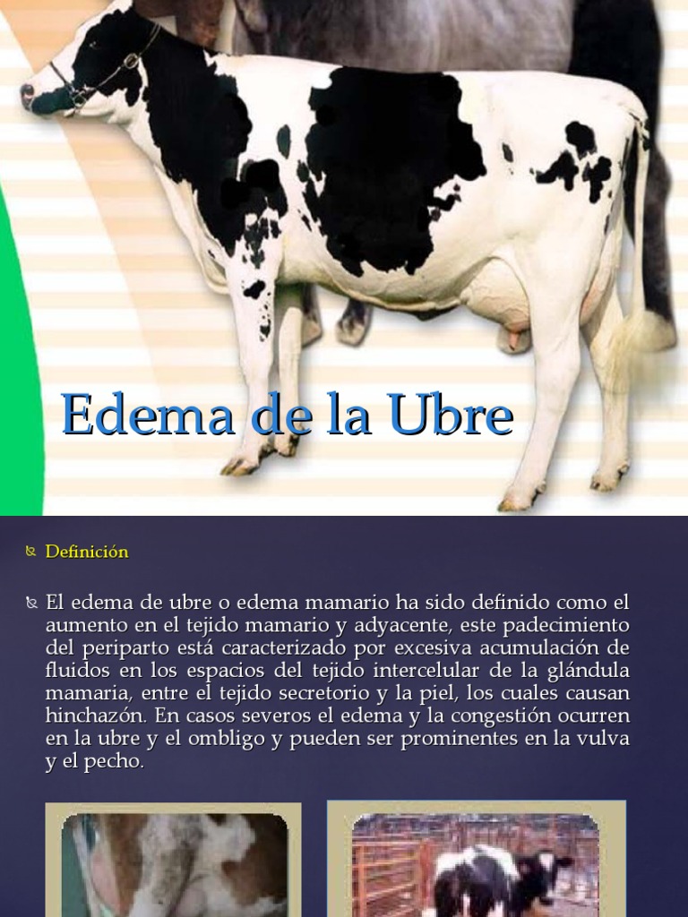 C.R. 2 Edema de La Ubre | PDF | Edema | Especialidades Medicas