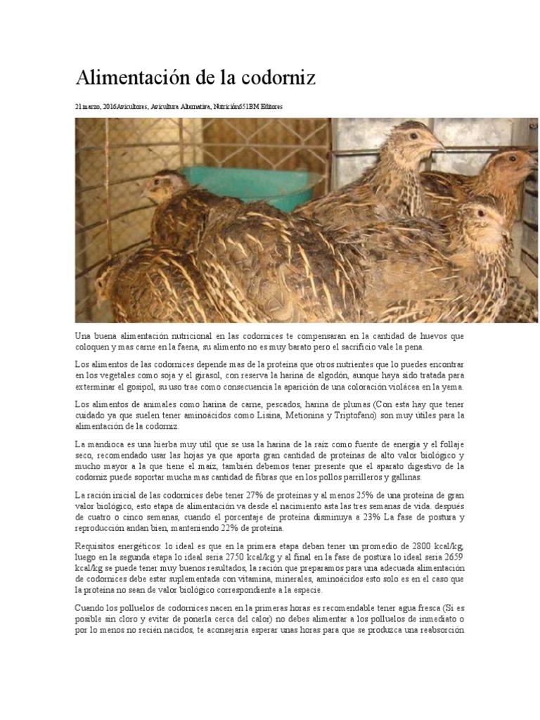 Alimentación de La Codorniz | PDF | Alimentos | Proteínas