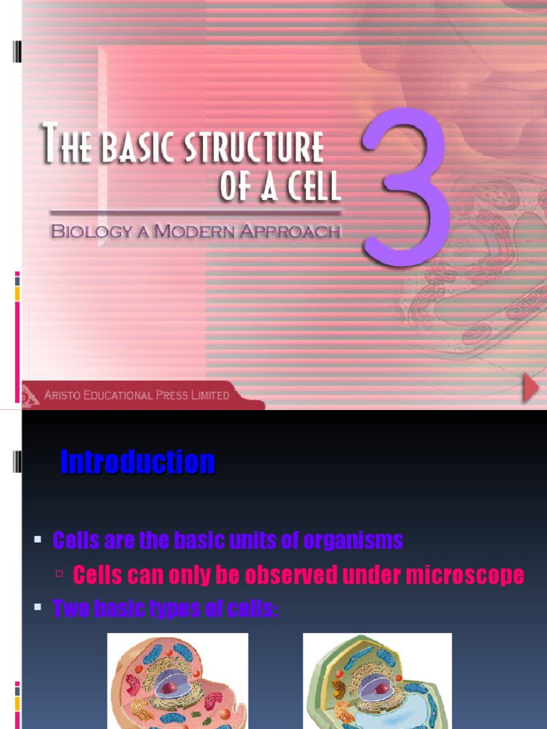 Basic Cell Structures | PDF | Cell (Biology) | Chloroplast