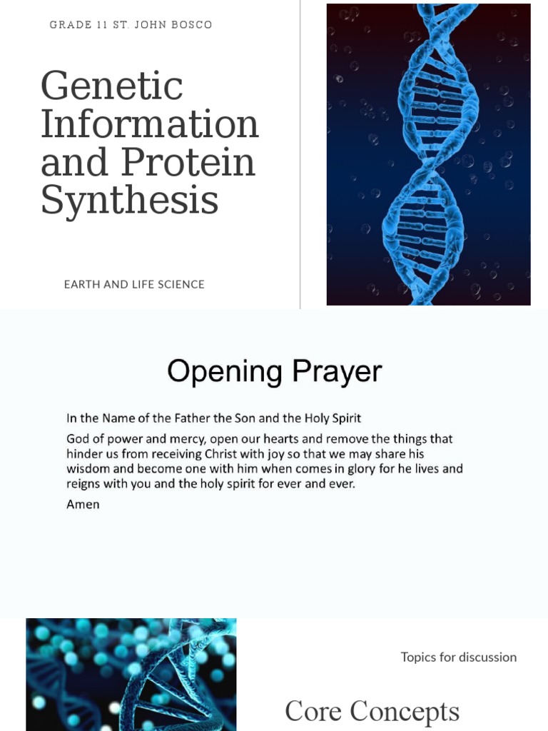 Genetic Information and Protein Synthesis | PDF | Gene | Dna