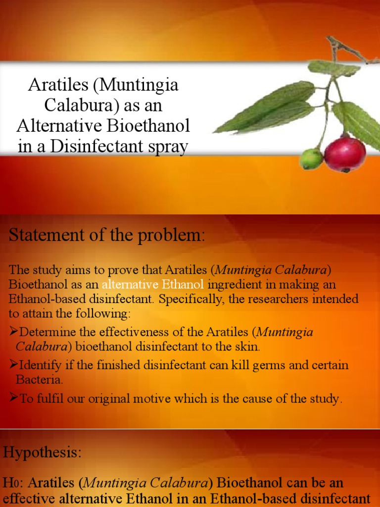 Aratiles-Muntingia-Calabura-as-an-alternative Bioethanol in A ...