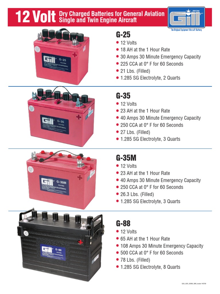 12 Volt: Dry Charged Batteries For General Aviation Single and Twin ...