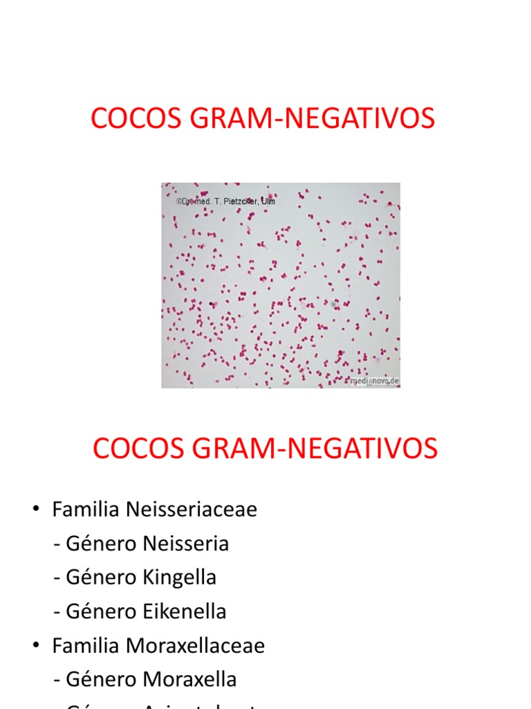 Tema 8. Cocos Gram-Negativos | PDF | Las bacterias | Medicina CLINICA