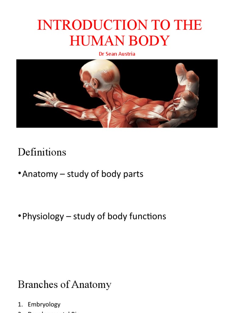Introduction To The Human Body | PDF | Self-Improvement | Wellness