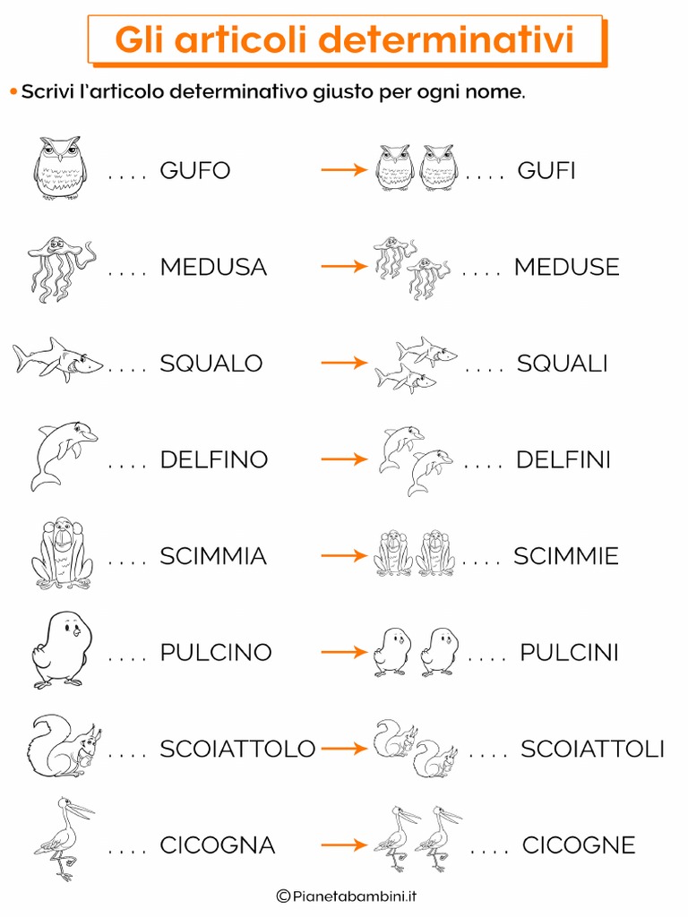 Schede Didattiche Articoli Determinativi Indeterminativi | PDF