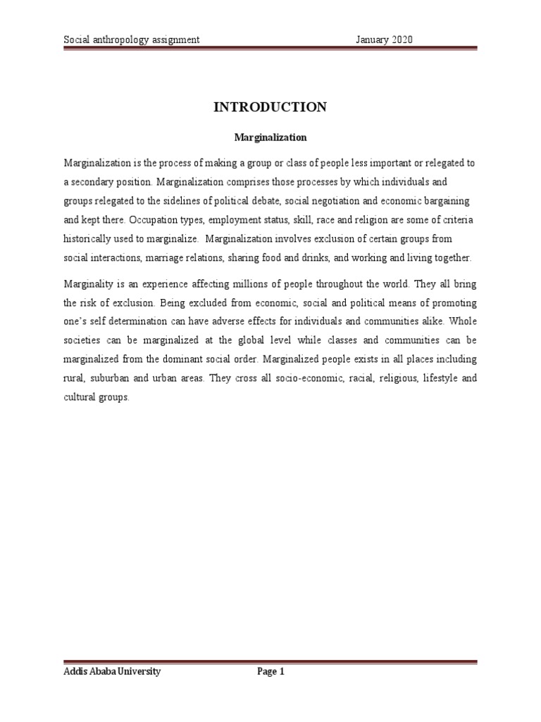 Understanding Social Marginalization | PDF | Social Exclusion | Social ...