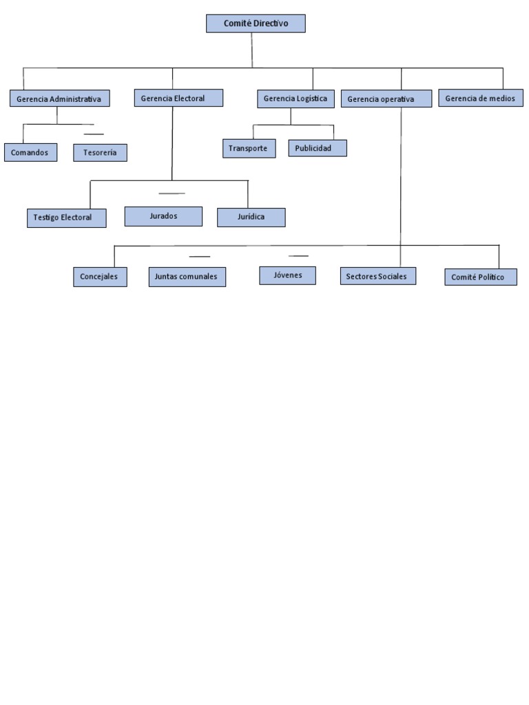 Organigrama Comite Directivo | PDF