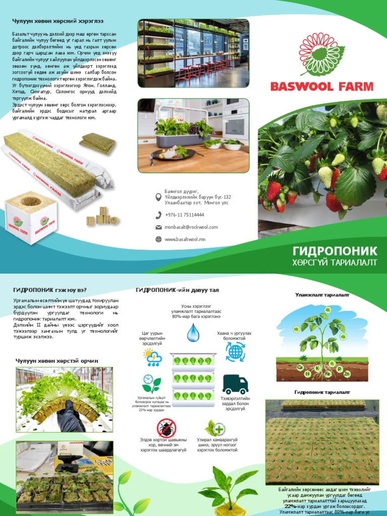 Hydroponic Brochure | PDF