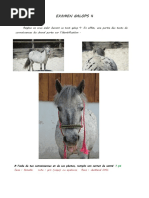 Fiches Pedagogique Galop 3 | PDF | Allure (équitation) | Pédagogie
