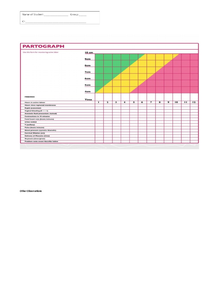 Partograph Form | PDF