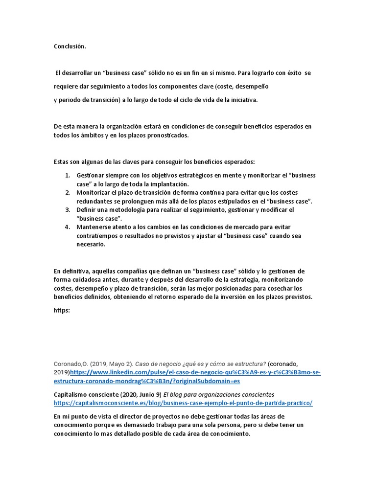 Conclusión Business Case | PDF